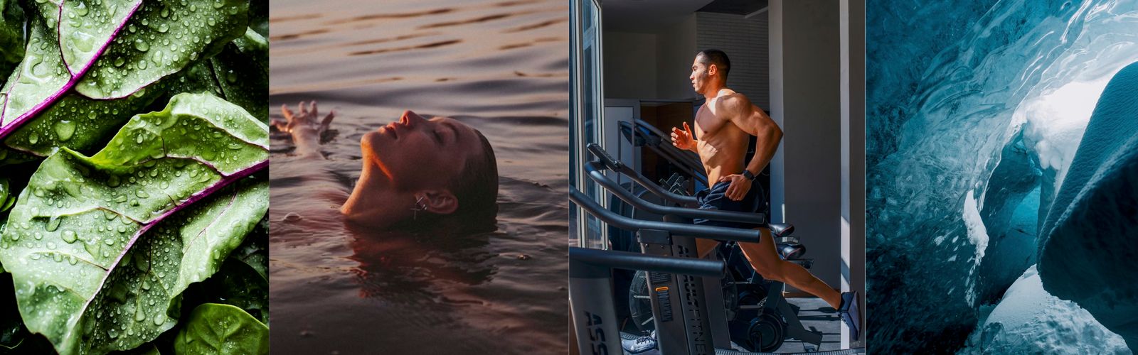 The Next Evolution of Wild Health