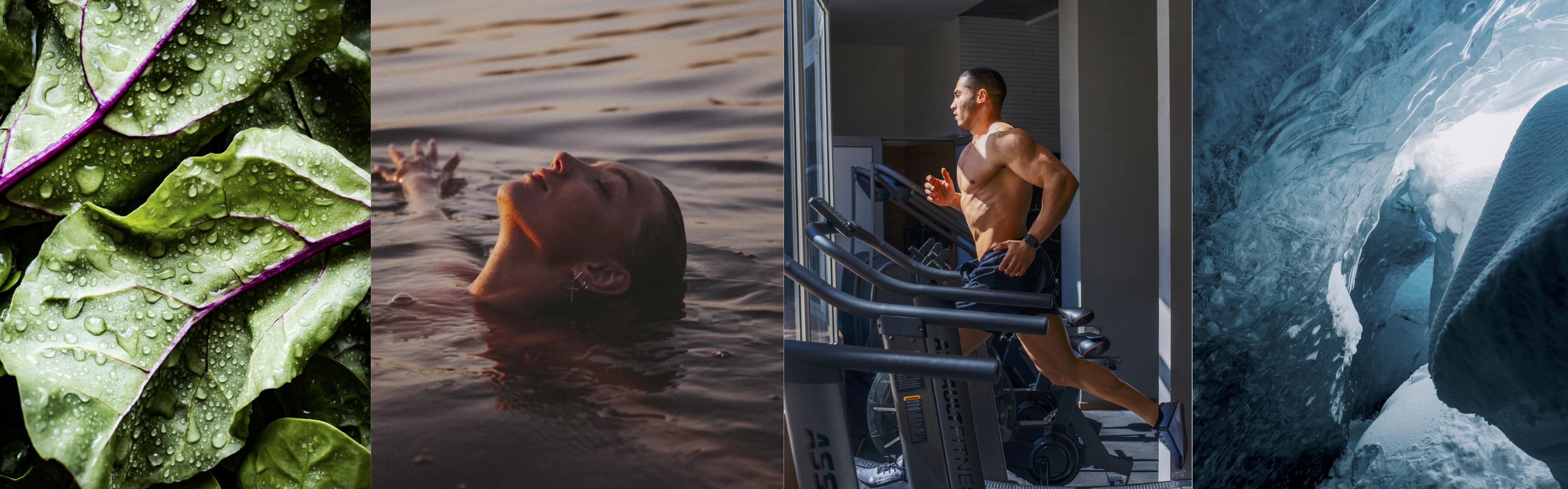 The Next Evolution of Wild Health