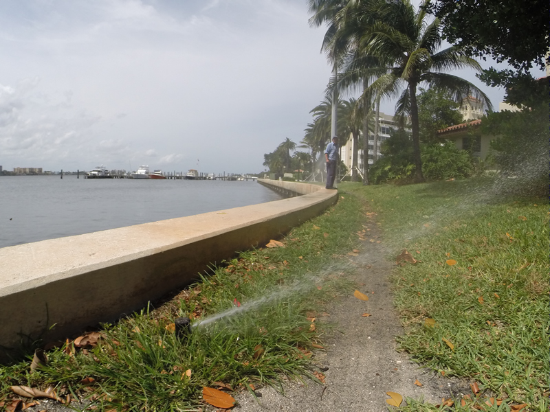 Warning Signs of Sprinkler Irrigation System Damage