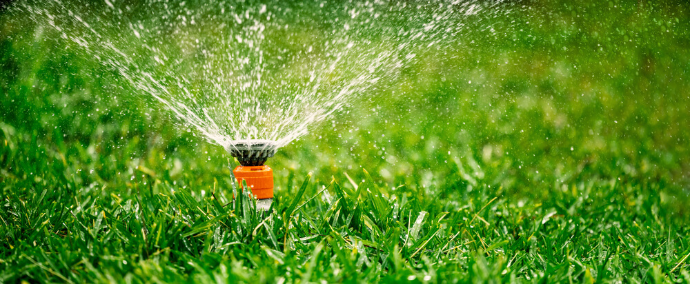 Understanding the Various Types of Sprinkler Heads for Your Lawn