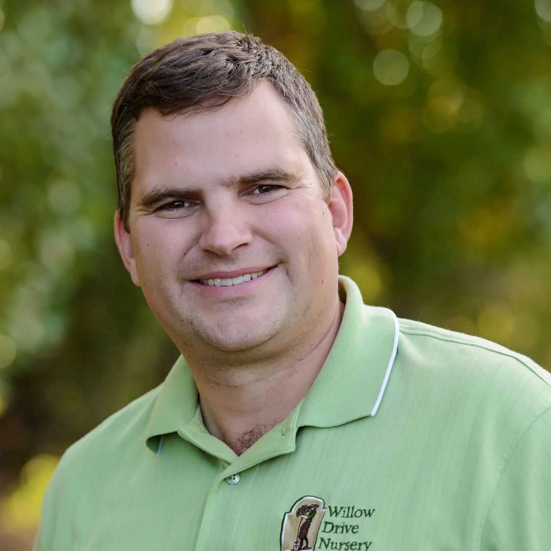 About | Willow Drive