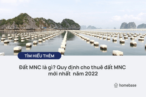 Đất MNC là gì? Quy định cho thuê đất MNC mới nhất hiện nay