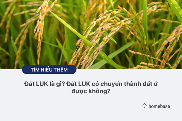 Đất LUK là gì? Đất LUK có chuyển thành đất ở được không?