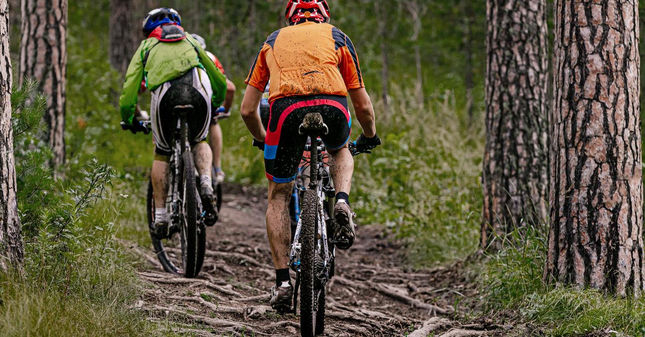 Best Bikes For Endurance Rides | PedalChef