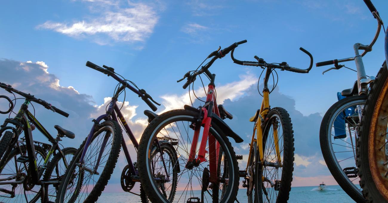 Where To Buy Diamondback Bikes | PedalChef