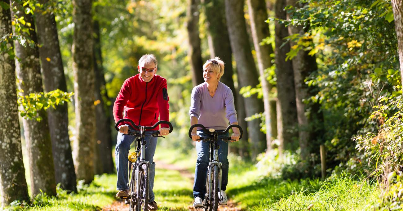 Best Bikes For Adults | PedalChef