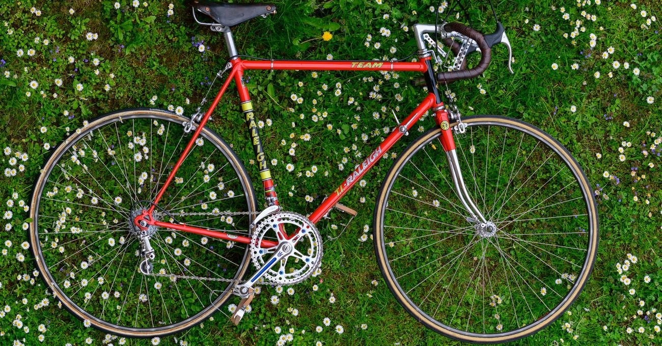 Best Raleigh Bikes | PedalChef