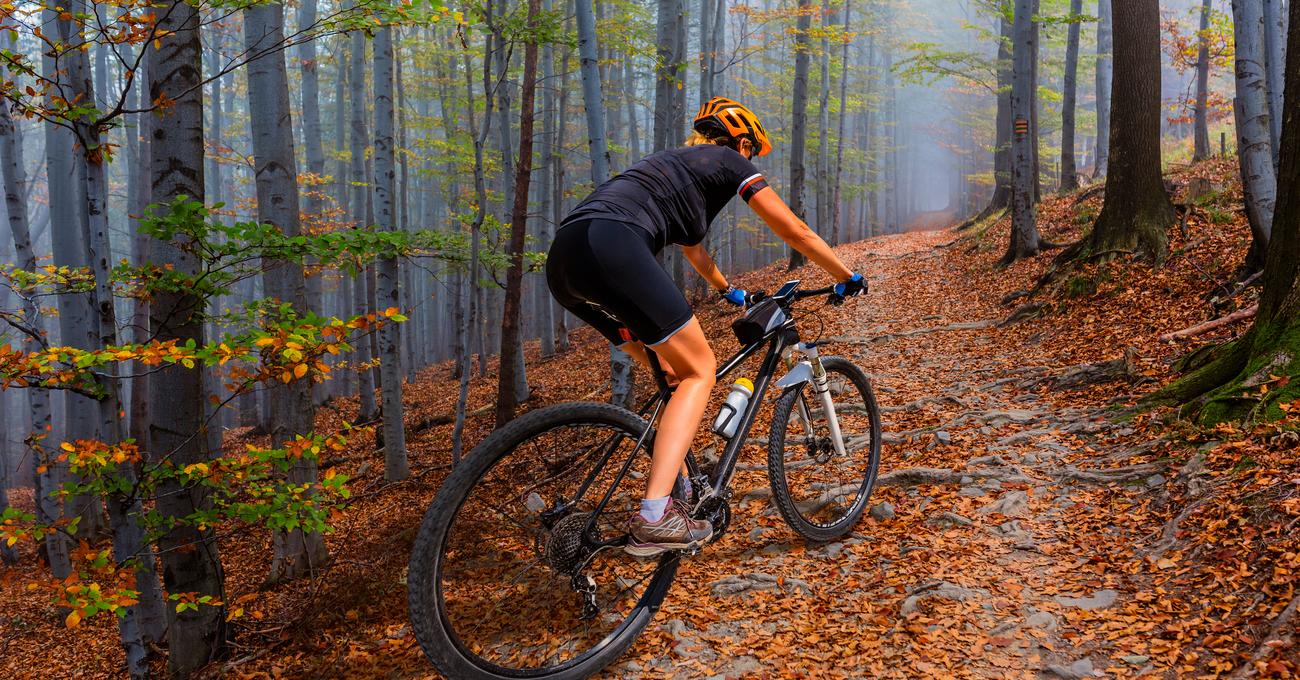 Best Bikes For Mountain Biking | PedalChef