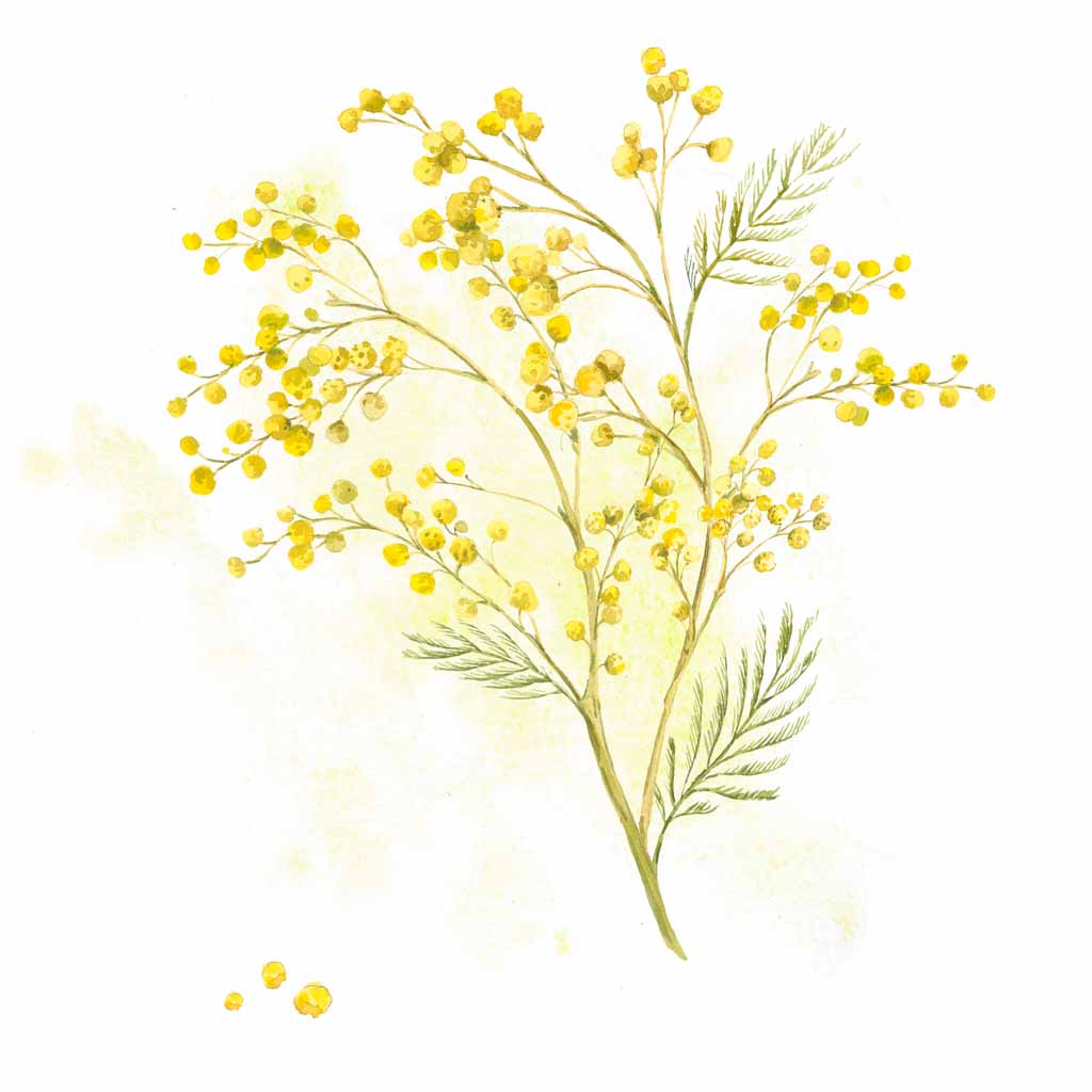 Andrea Facci Ph.D. - About