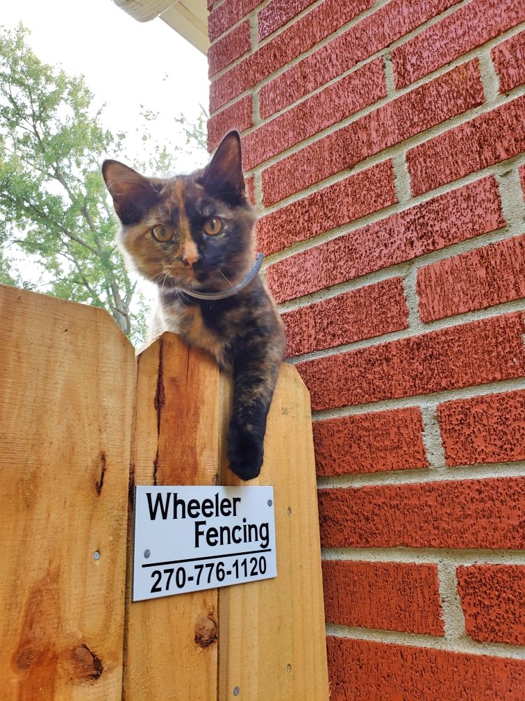 Wheeler Fencing