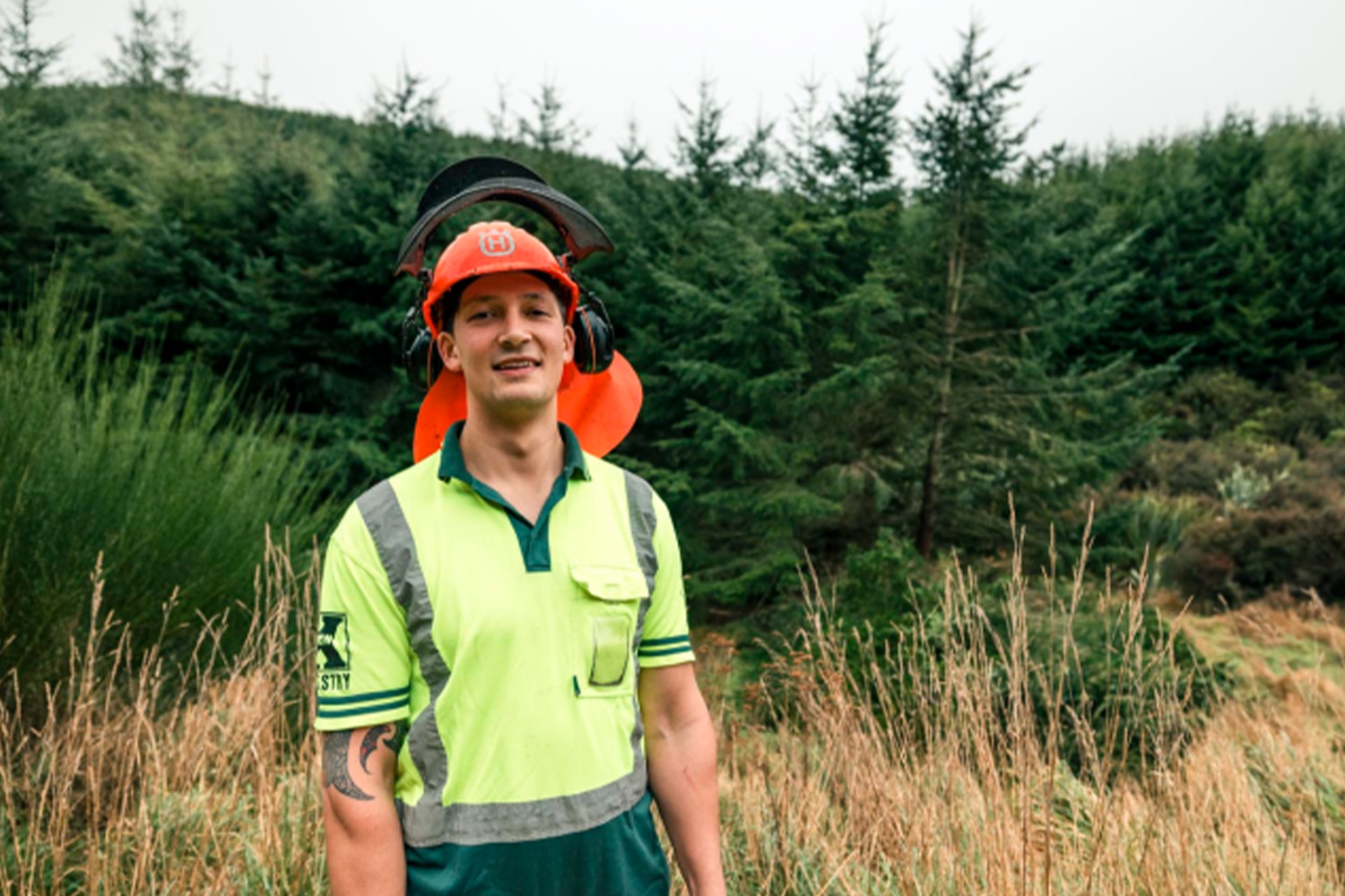 Pathway into forestry for students | Ernslaw One