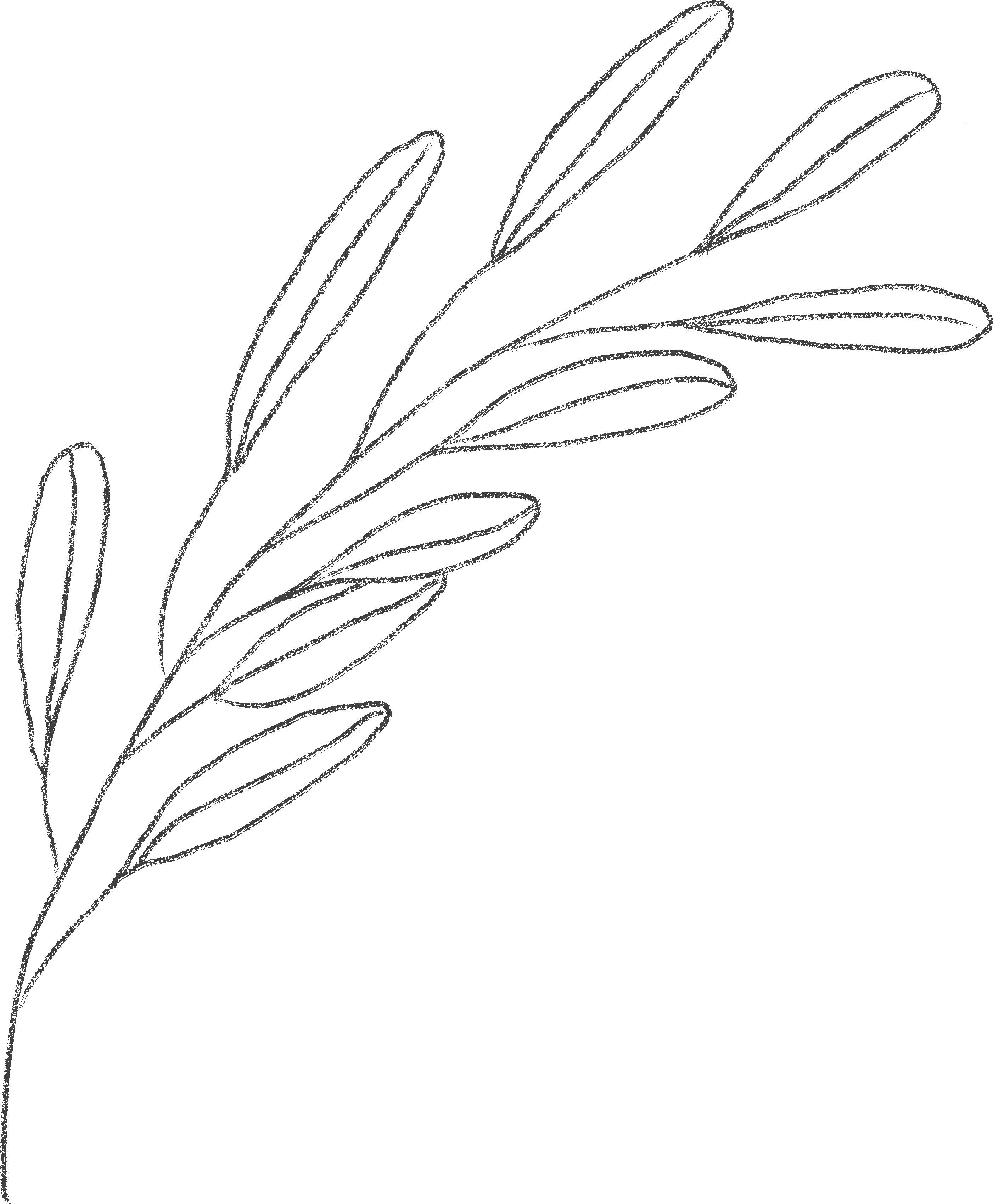 EMDR Therapy | Monica Tan