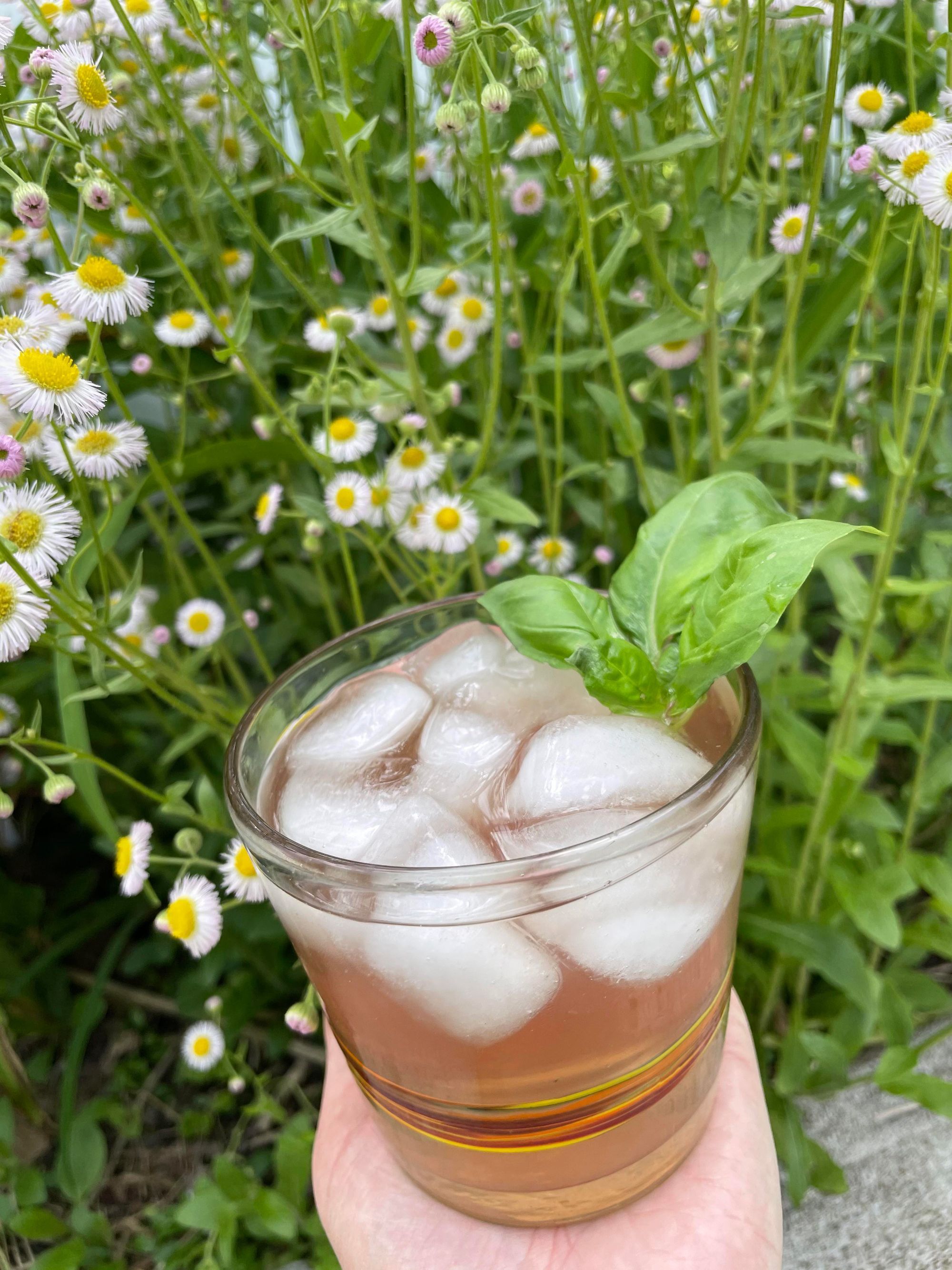 POM Wonderful – Drink Recipes