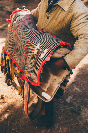 George Scott Rides - Gallery