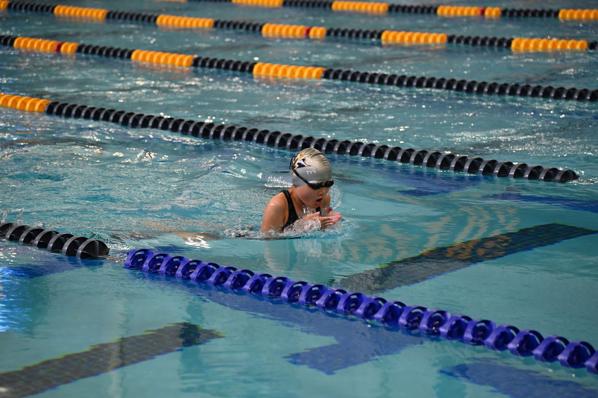Programs — The Bridge Sports Complex