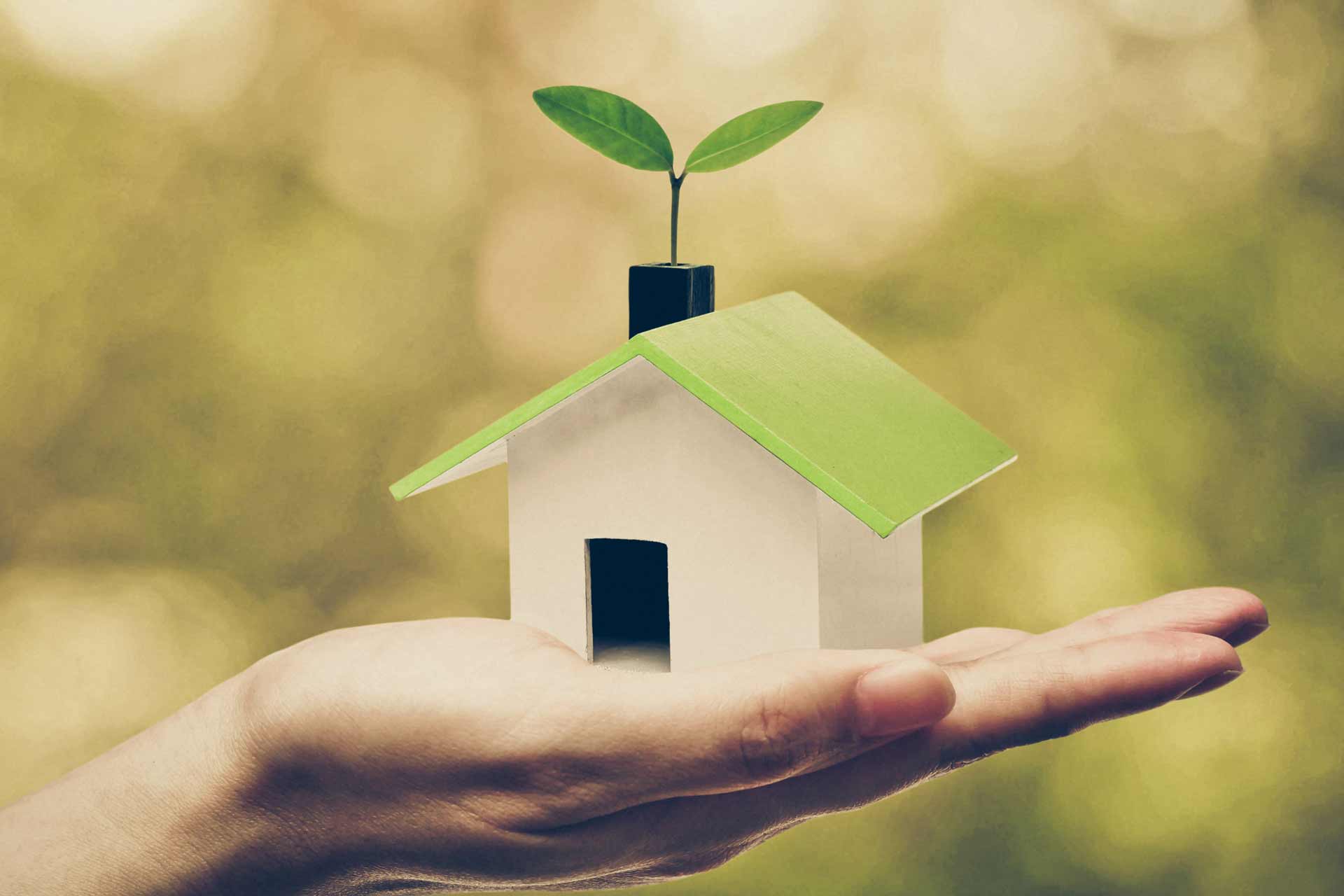 Six Ways to Create a More Sustainable Home | RST CleanTech