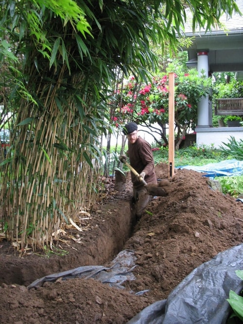 Barrier Installation | Bamboo Garden