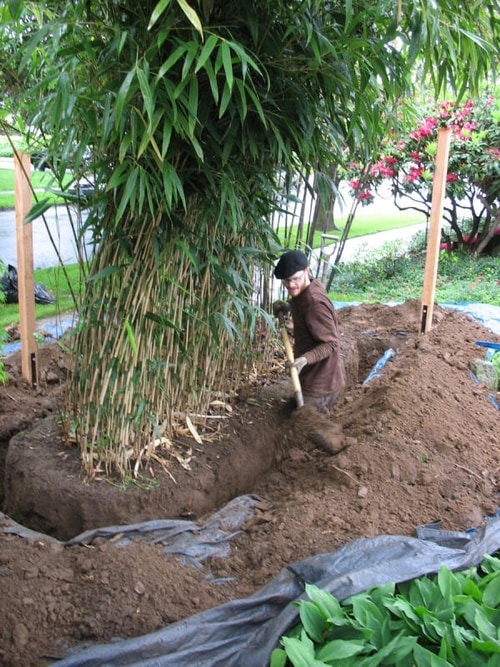 Barrier Installation | Bamboo Garden