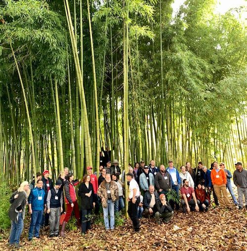 About Bamboo Garden