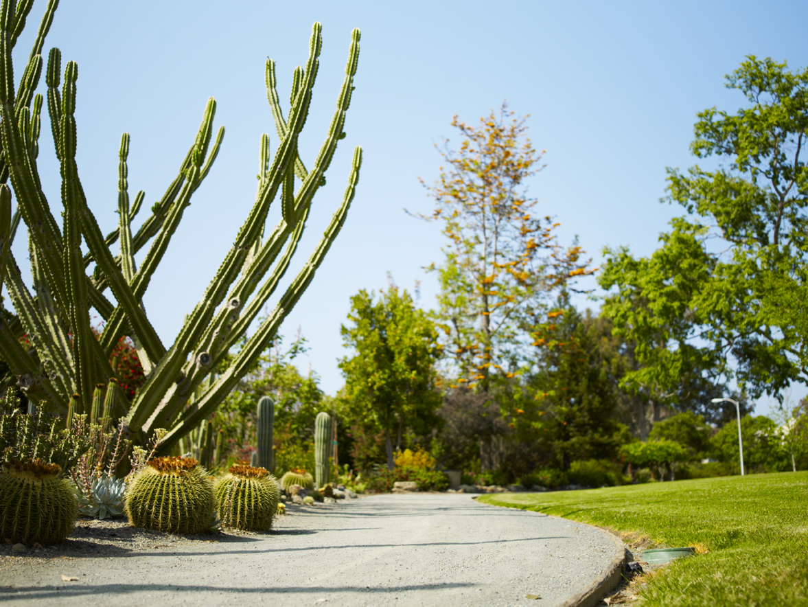 Two & Four Bedroom Apartments in San Luis Obispo | Summit SLO