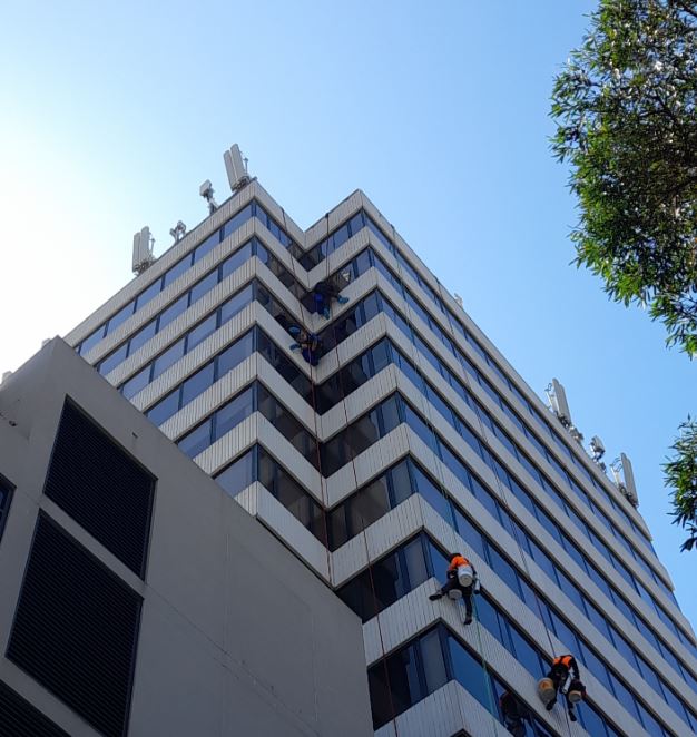 418a Elizabeth Street, Project - RM Watson