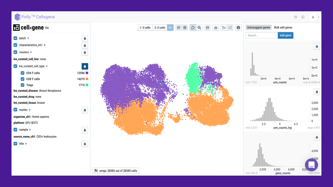 Visualizing Single Cell Datasets Using CellxGene