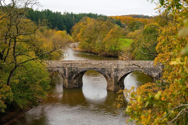 Skern Training & Skills | Development with a difference