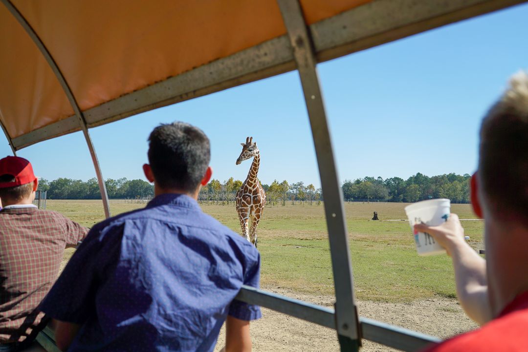 Lighthouse Ranch for Boys | Loranger, LA