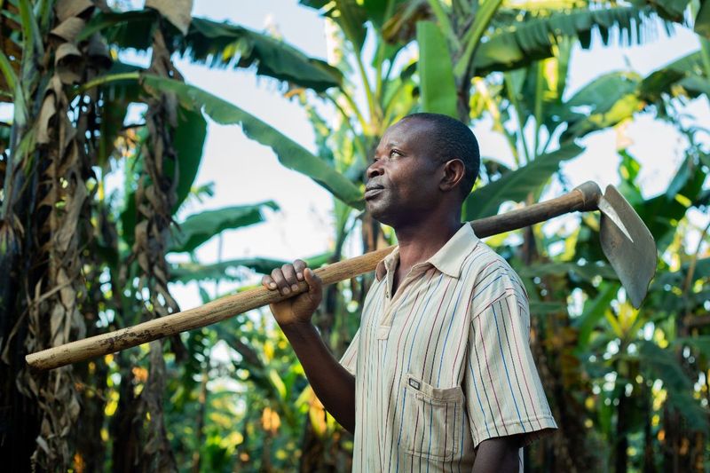 How Rikolto works: programmes and strategies