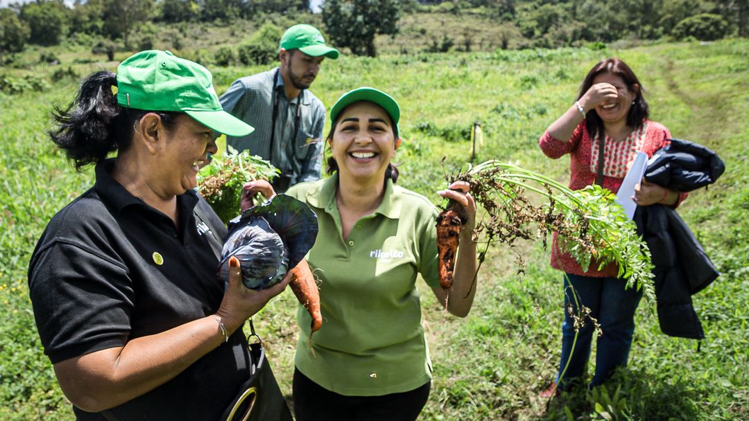 The history of Rikolto