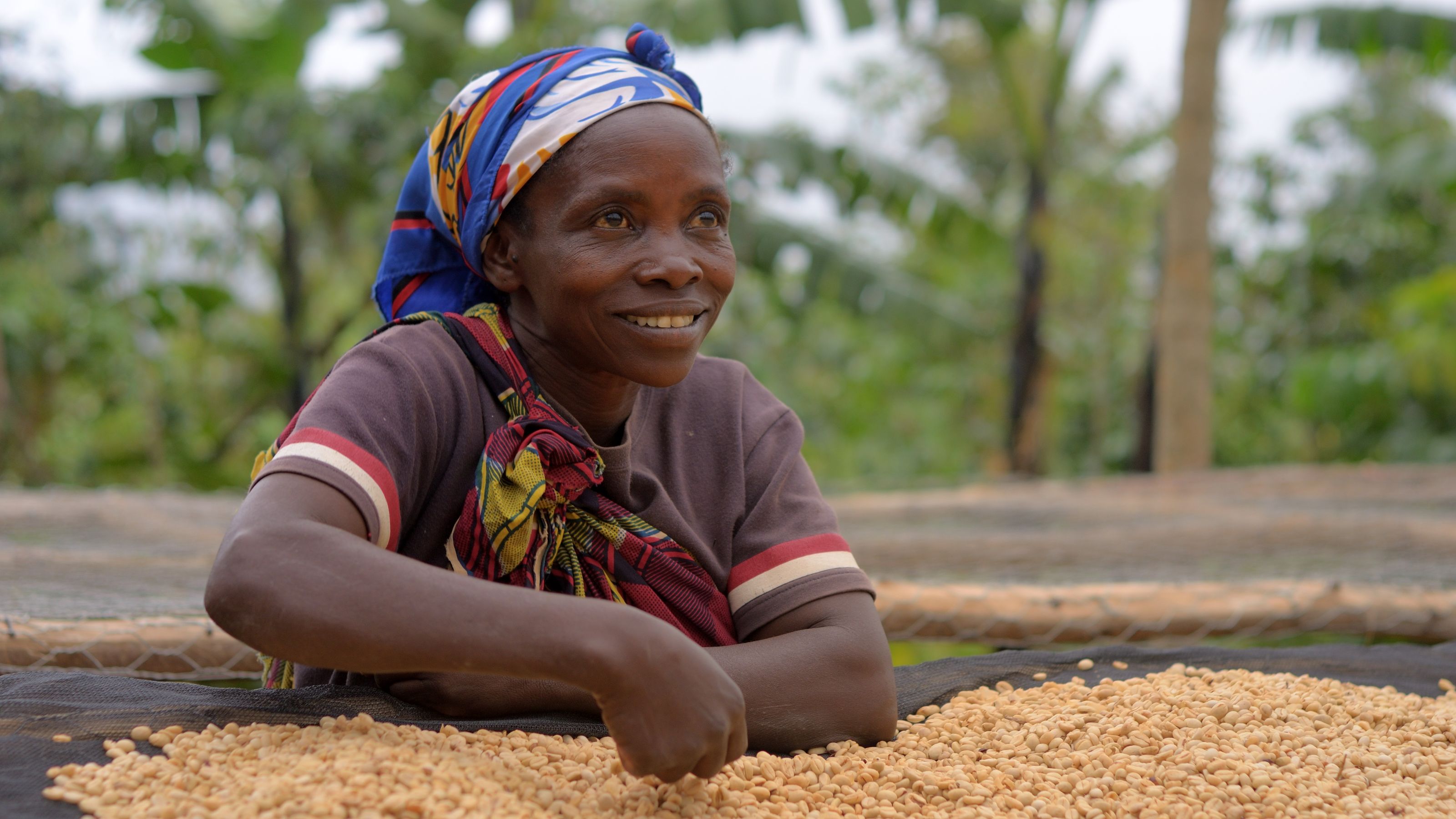 The history of Rikolto