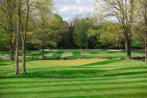 Black Bear Ridge Golf Resort