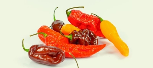 Welke soorten pepers zijn er