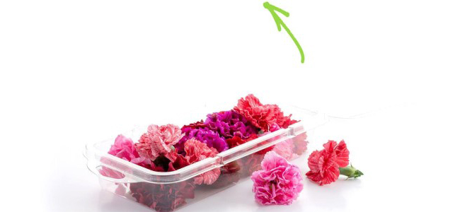 Welke bloemen kun je eten?