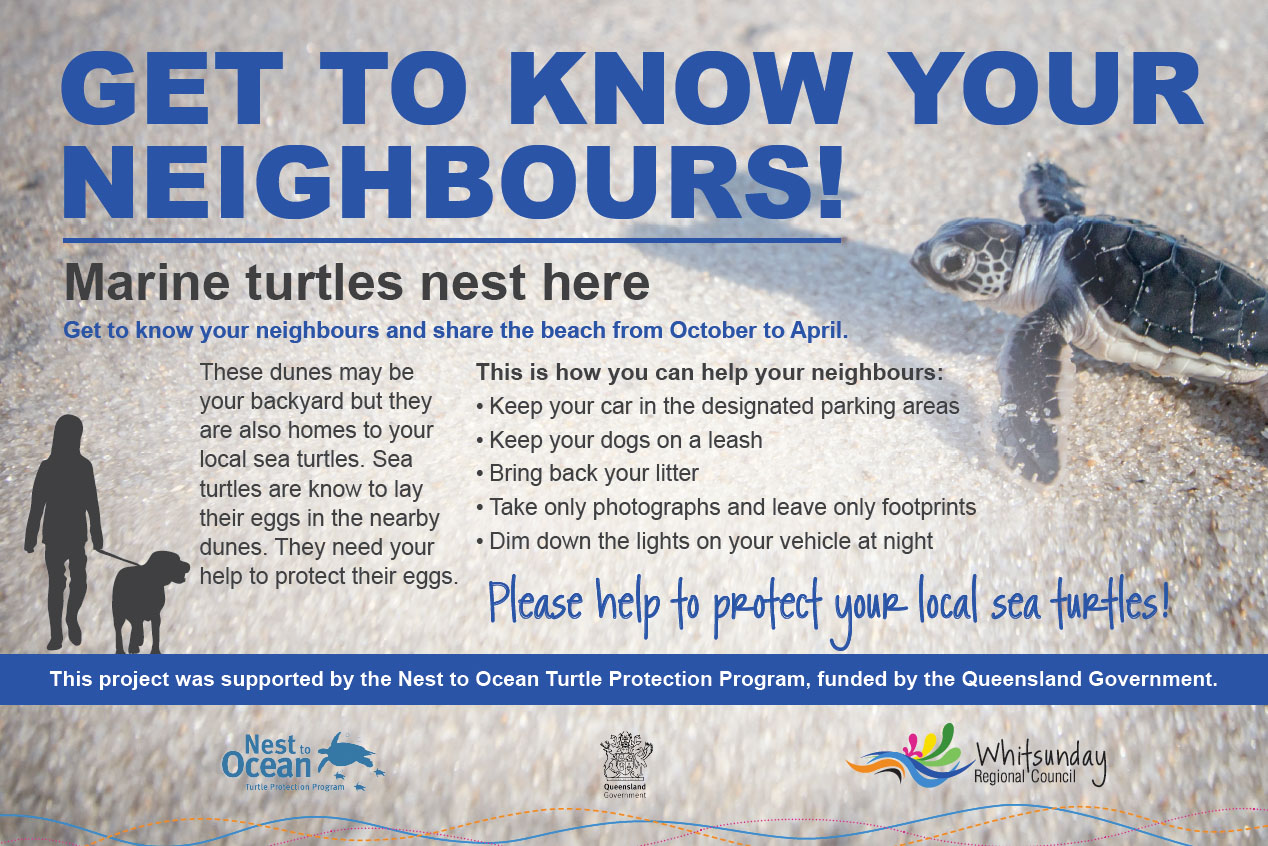 Council Turtle Signs | KB Design | Design Studio | Graphic Design ...