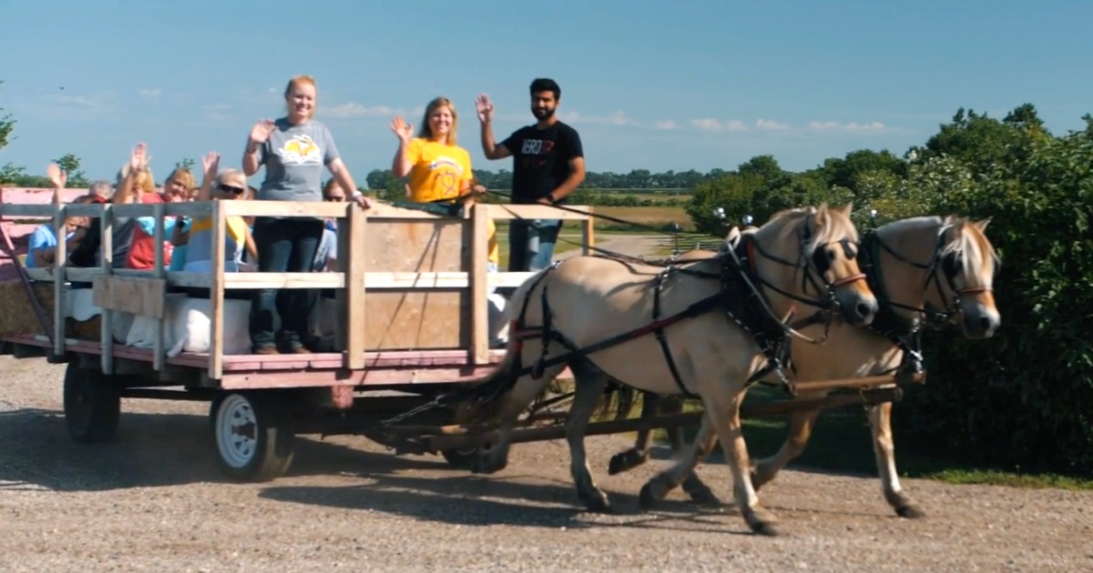Contact - Joy Ranch of South Dakota