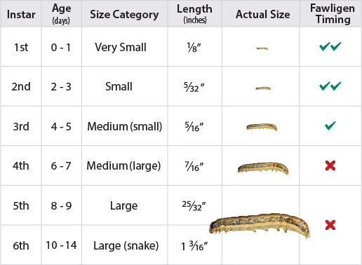 Fawligen | Biological Insecticide – Controls Fall Armyworm