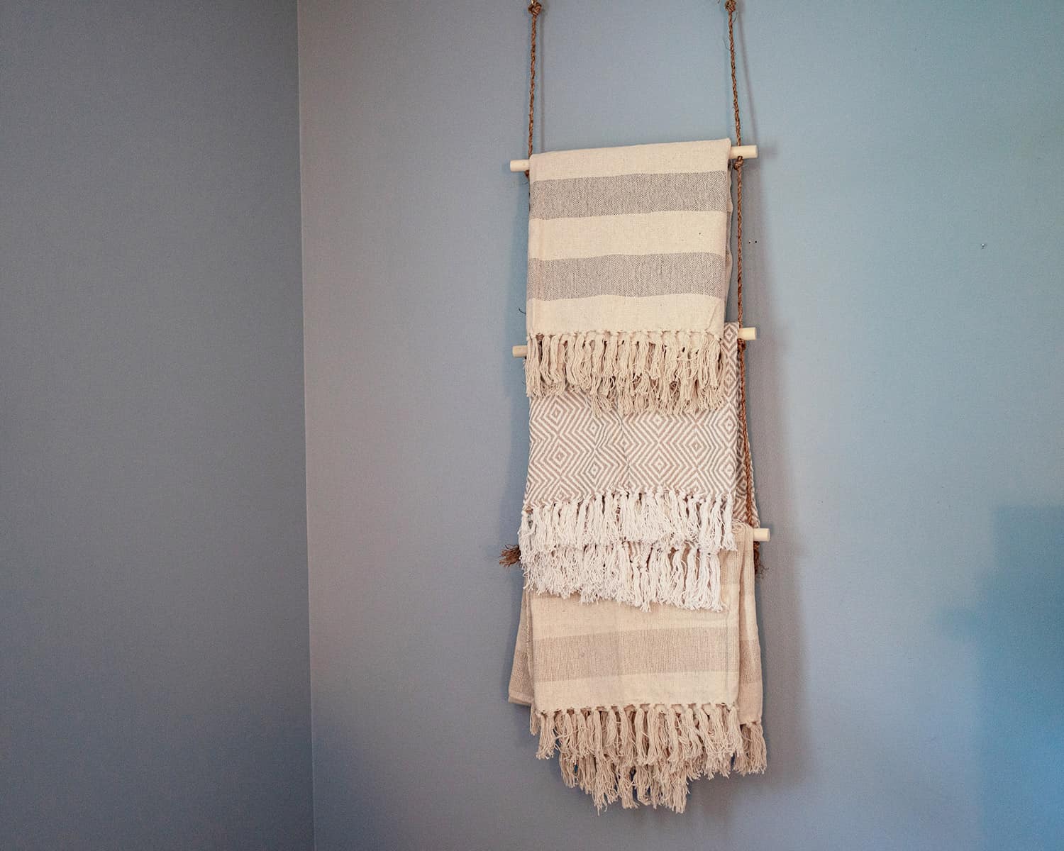 DIY Hanging Ladder | Godwin's Got It