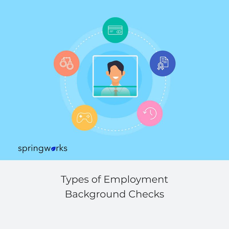 Employment Verification Service | SpringVerify India