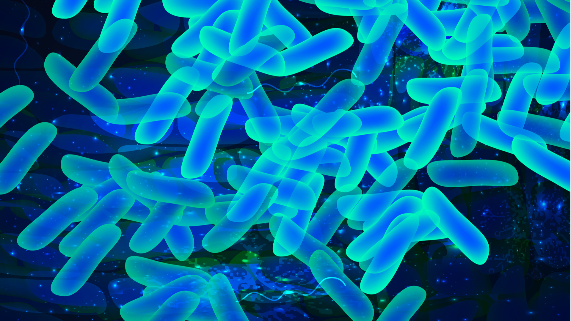 Eat These Fermented Foods for a Healthy Gut - Çava Health