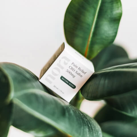 Contact us | Absolut Legal