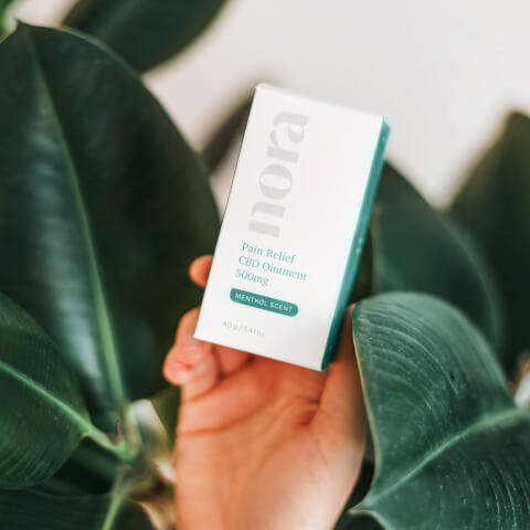 Contact us | Absolut Legal