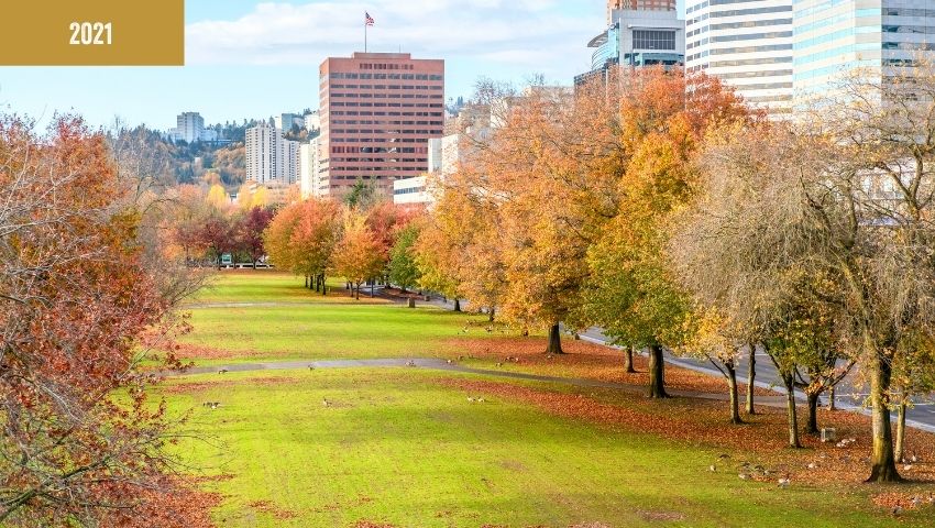 Top 5 Local Events in November | Portland November Events