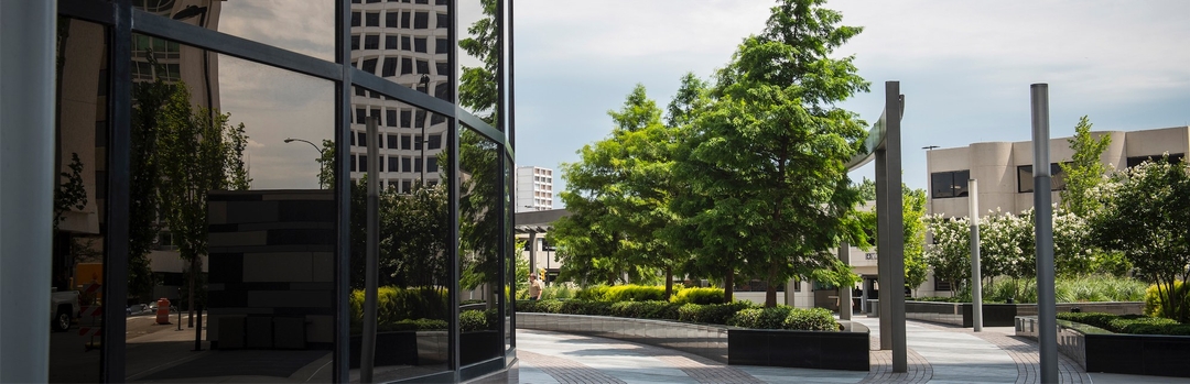 Robert Winter | Pray Walker