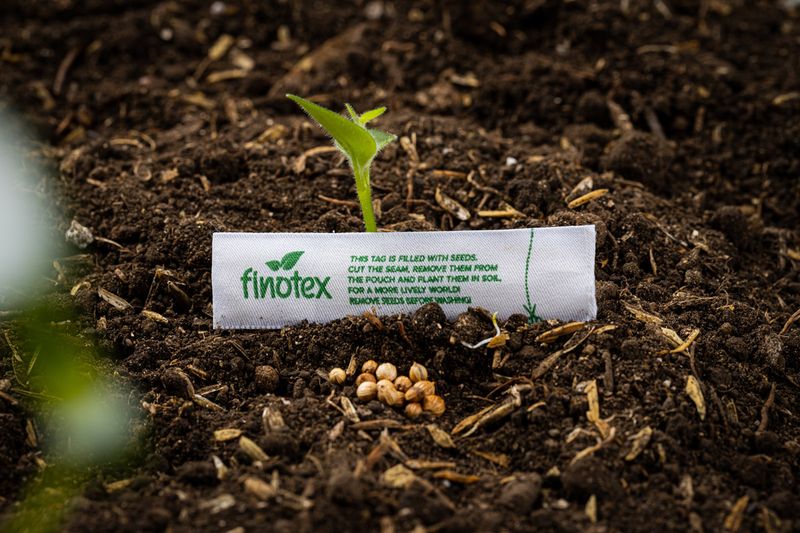 Finotex