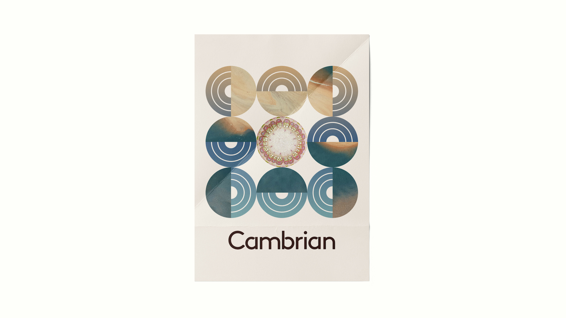 Cambrian Biopharma Case Study | RocketAir