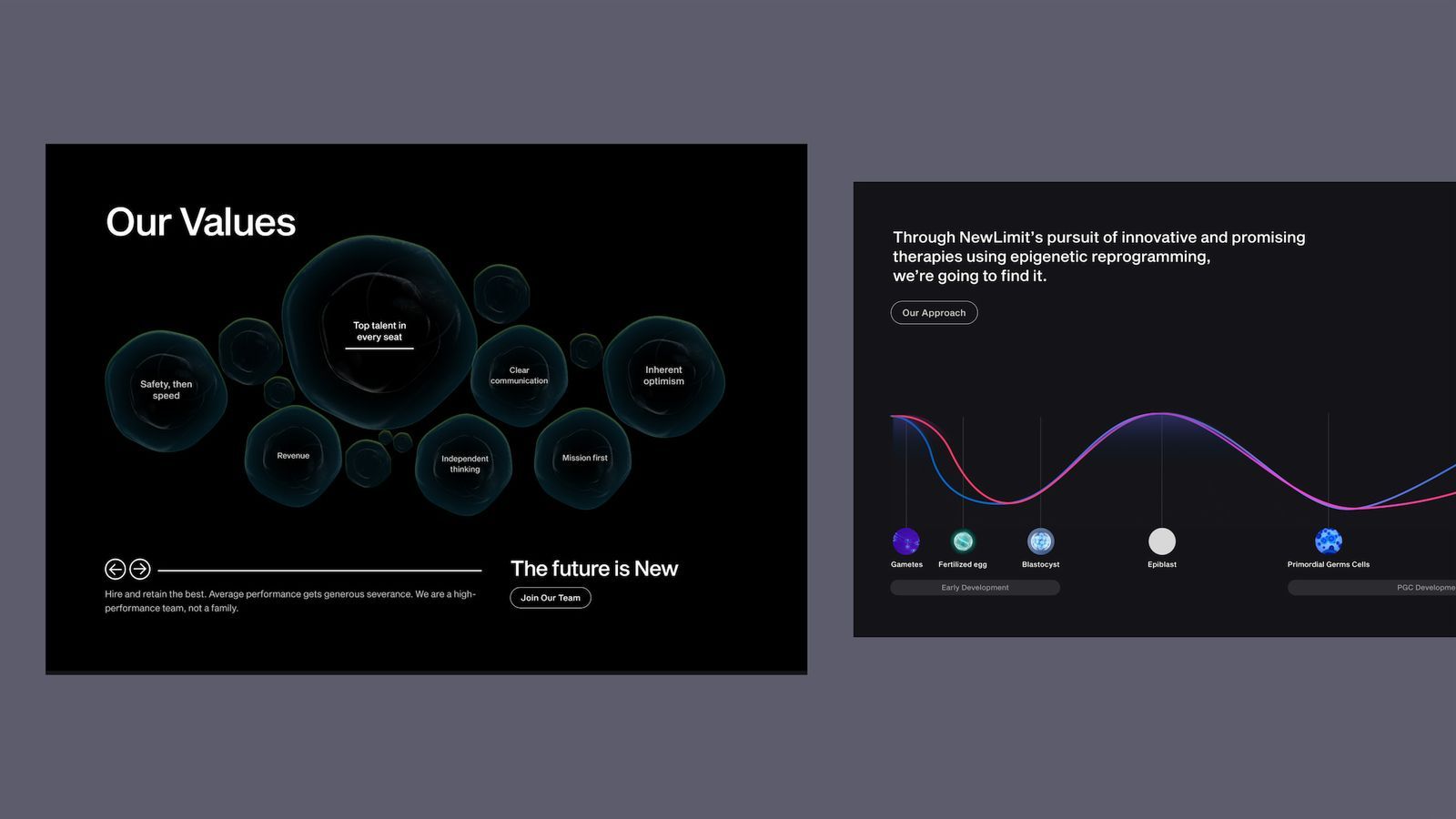NewLimit Case Study | RocketAir
