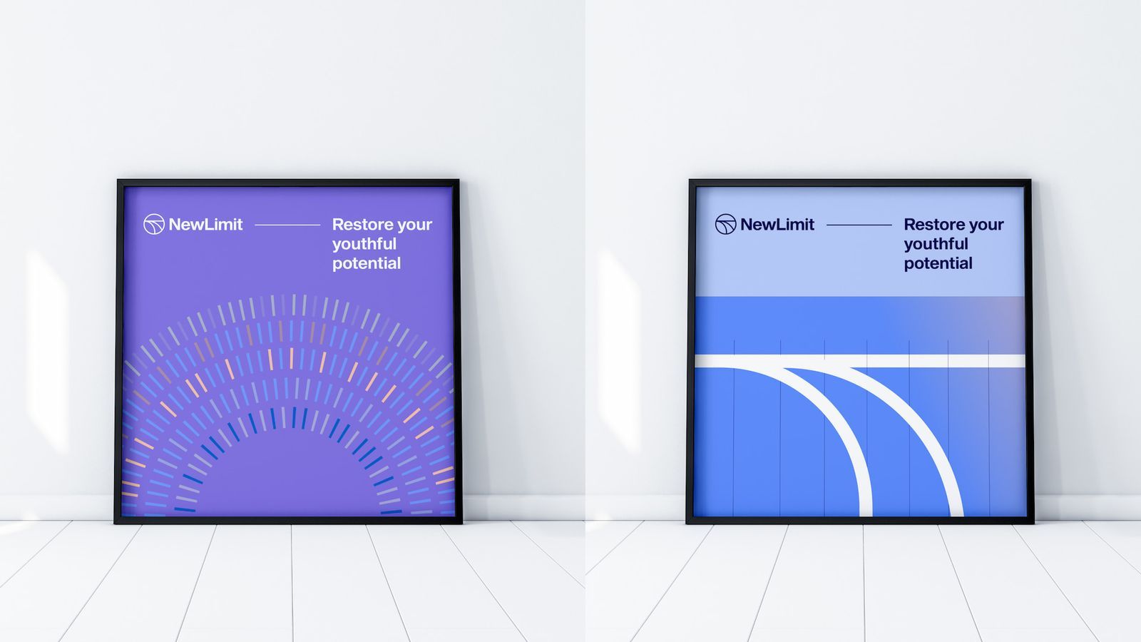 NewLimit Case Study | RocketAir