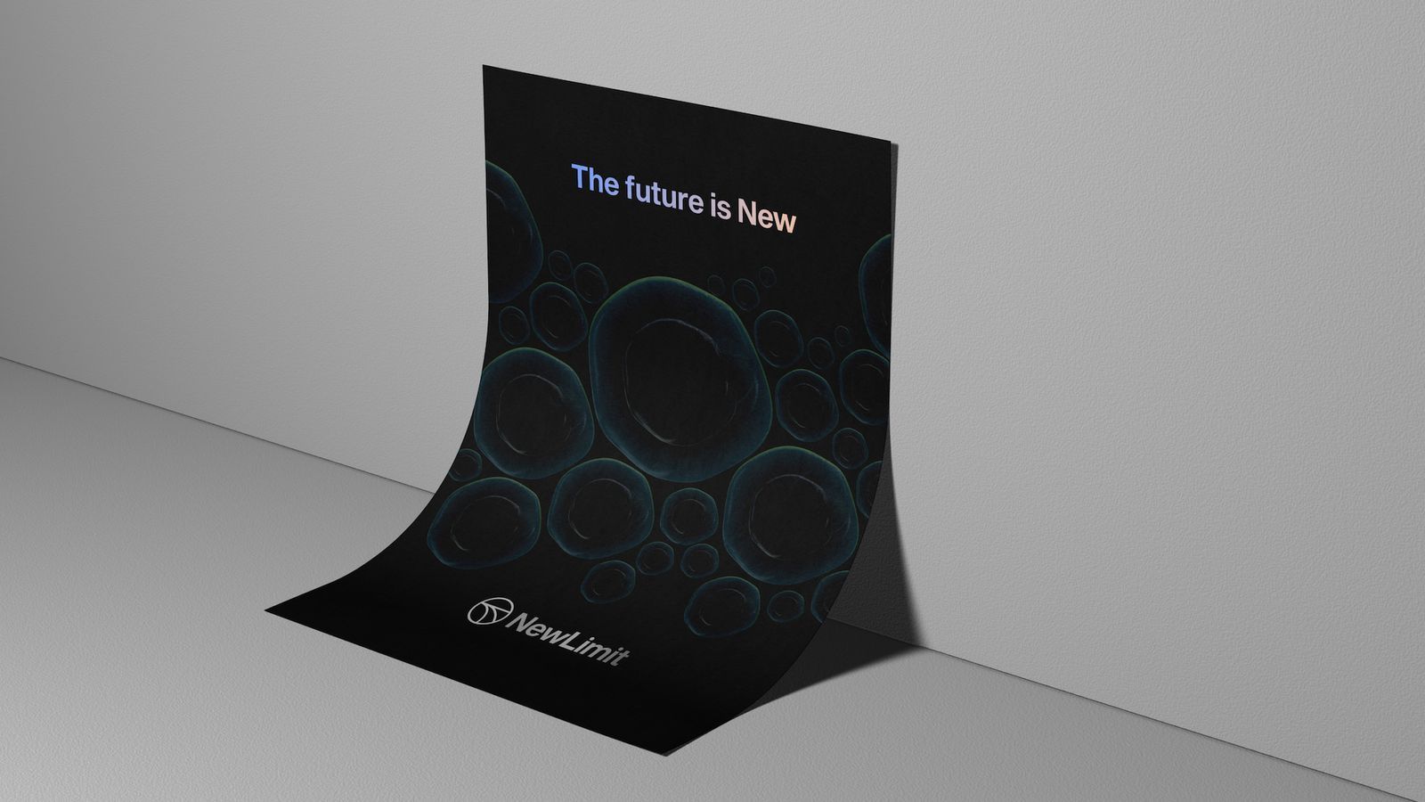 NewLimit Case Study | RocketAir