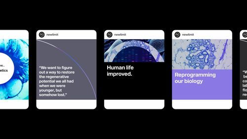 NewLimit Case Study | RocketAir